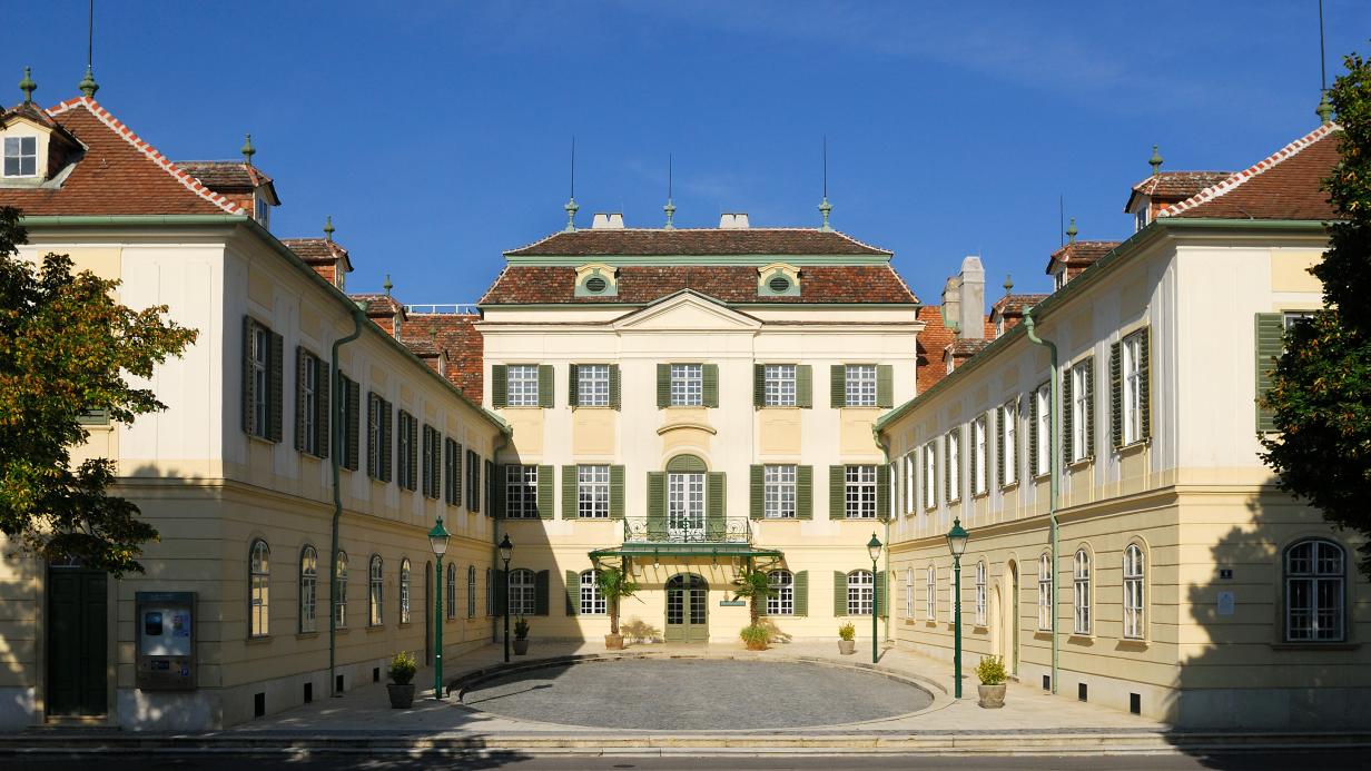 Schloss Hunyadi