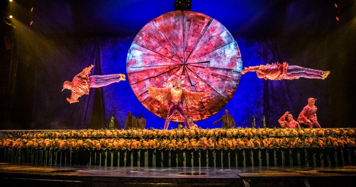 Cirque Du Soleil Luzia