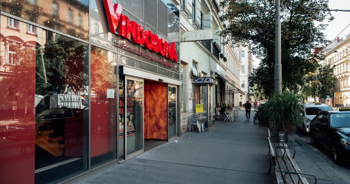 Vindobona in Wien: Was du beim ersten Besuch beachten solltest